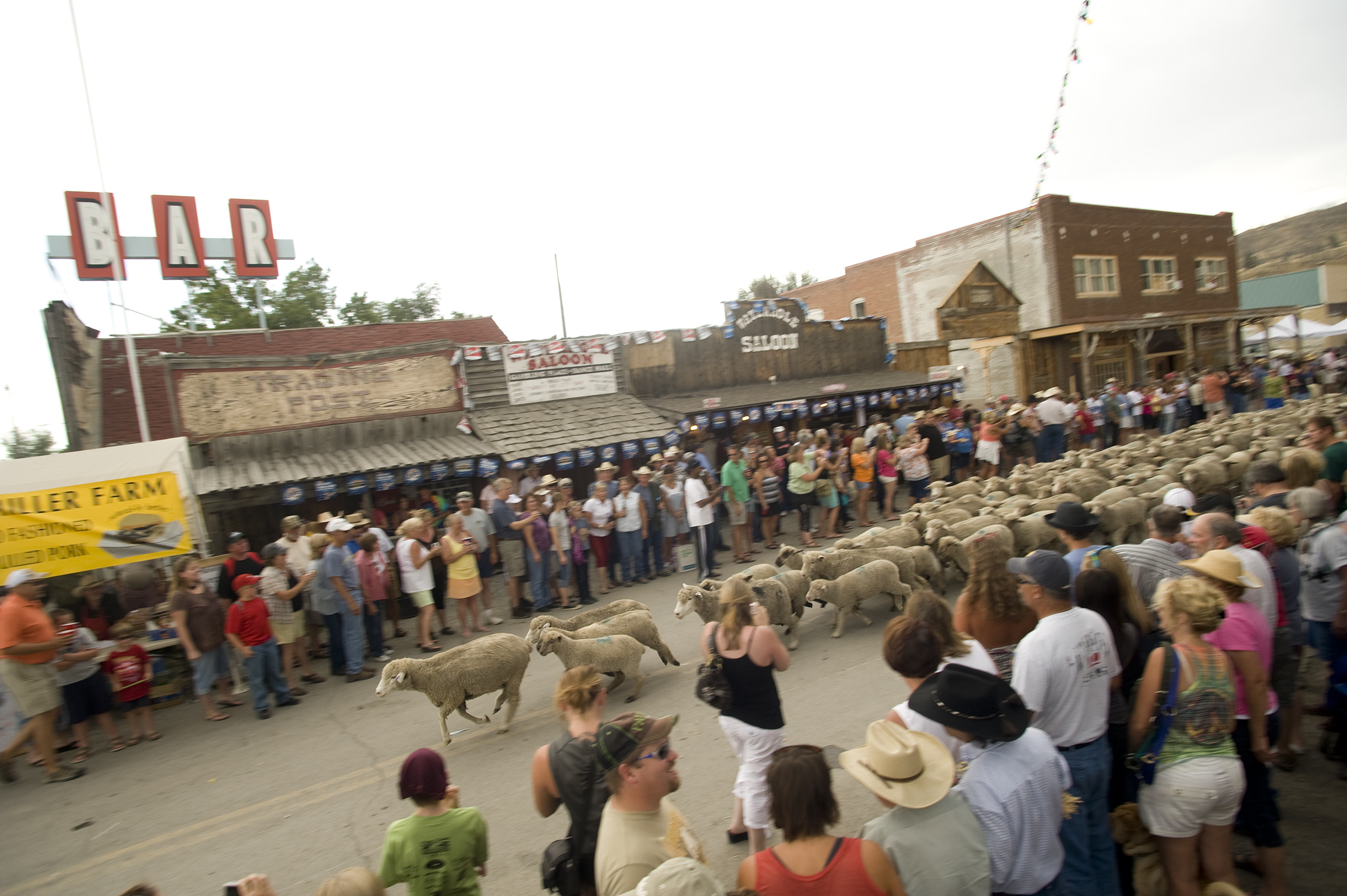 Lynn Donaldson Photography 406 570-9146 | Multimedia | 1